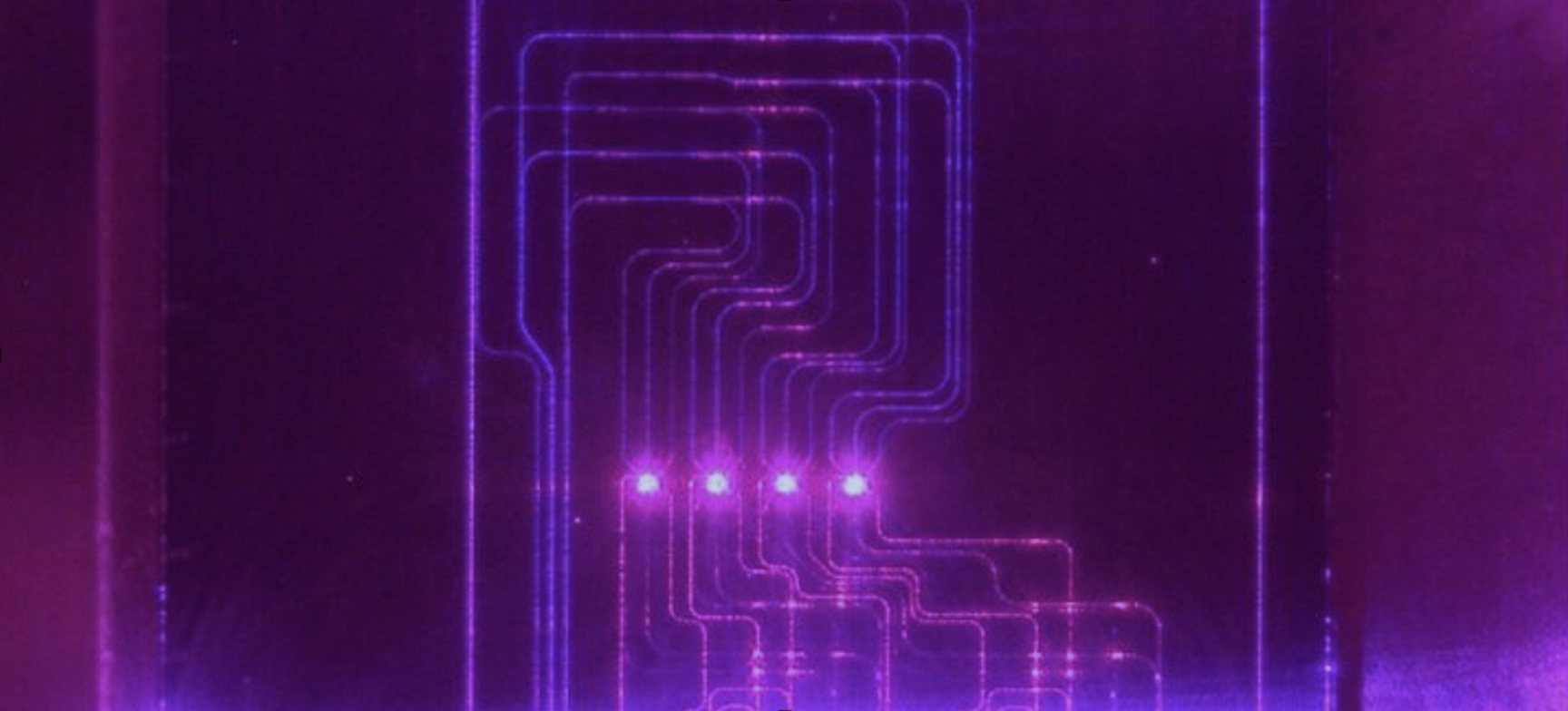 Optical microscope image of chip simultaneously illuminated with 7 wavelengths from 405–1092 nm, fabricated using the silicon nitride and alumina visible light platform (370–1100 nm).