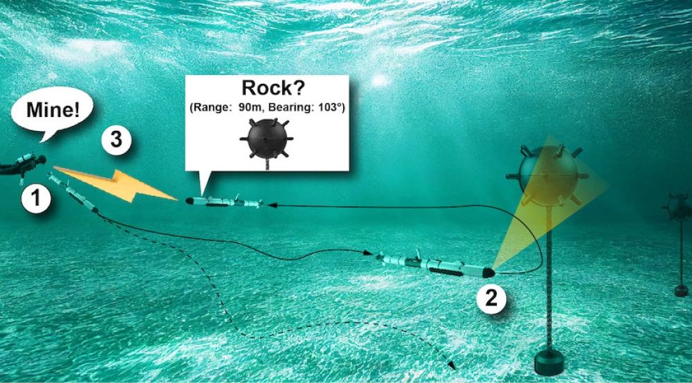Underwater PB&J: Combining Diver and Robot Strengths for Optimized Mid ...